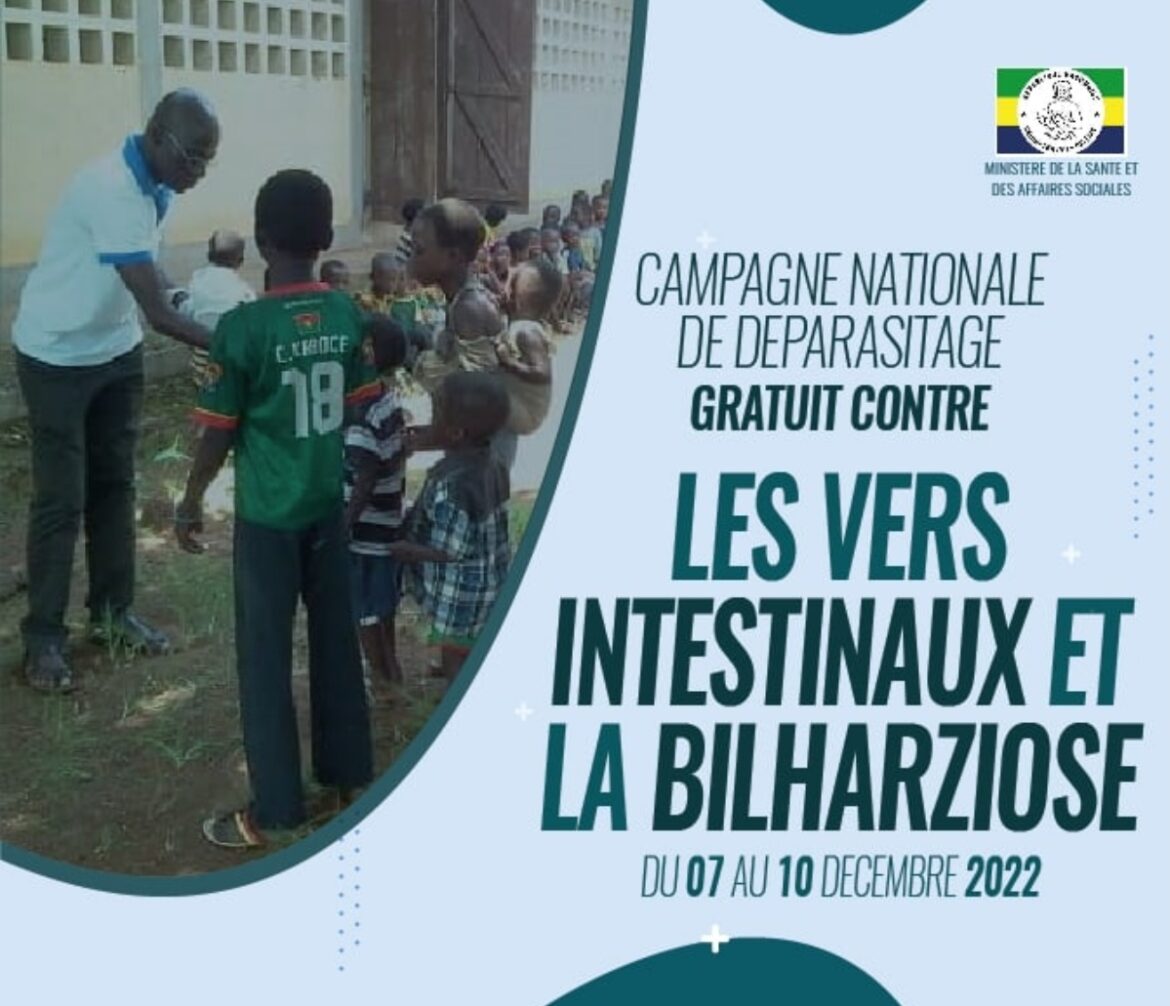 Affaire Île Mbanié : Comprendre l'origine du différend entre le Gabon ...